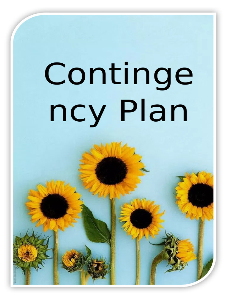 Division Contingency Plan For The Pilot Implementation of The Face ...