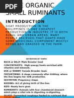 Goat Vital Signs and Health Guide | PDF | Goat | Thermoregulation