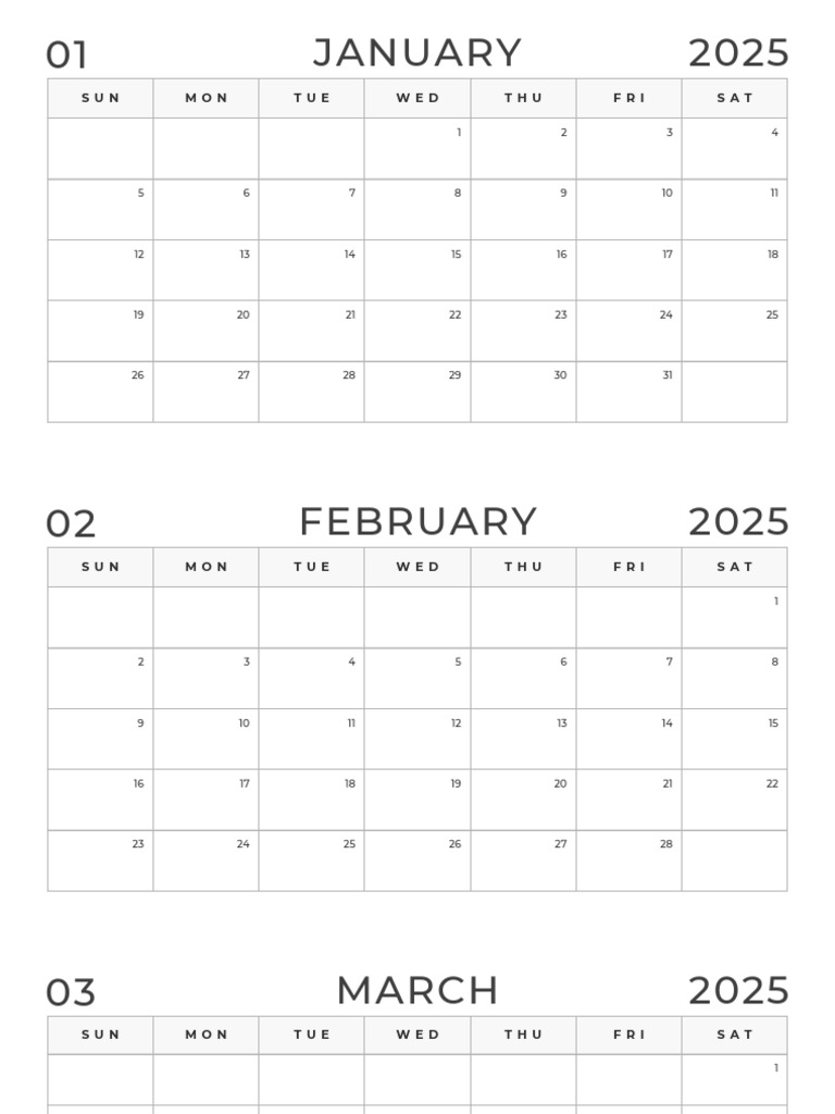 2025 Black and White Minimalist Calendar | PDF
