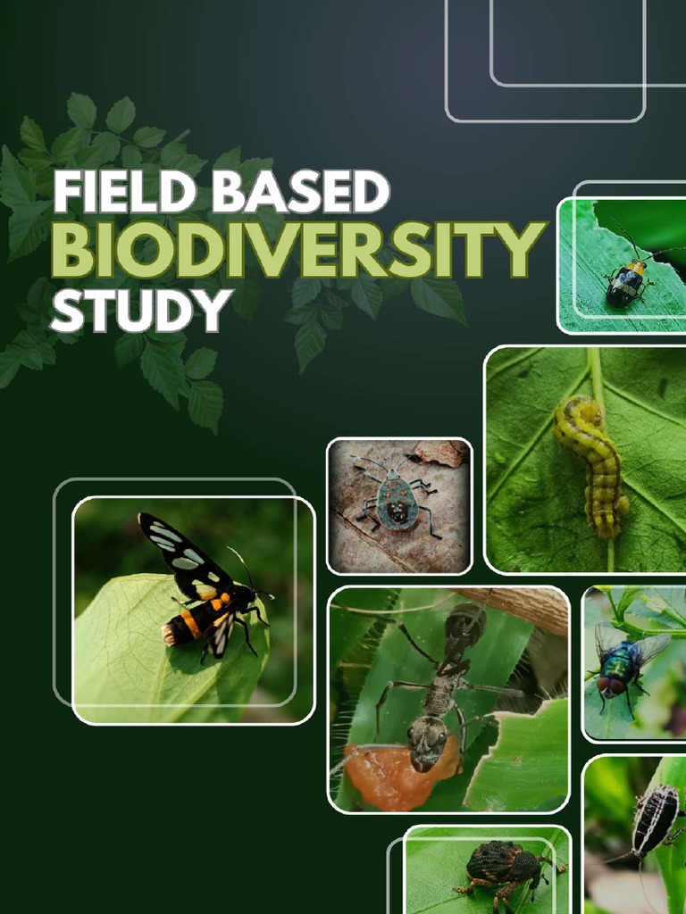 Group D Field report | PDF | Sampling (Statistics) | Biodiversity