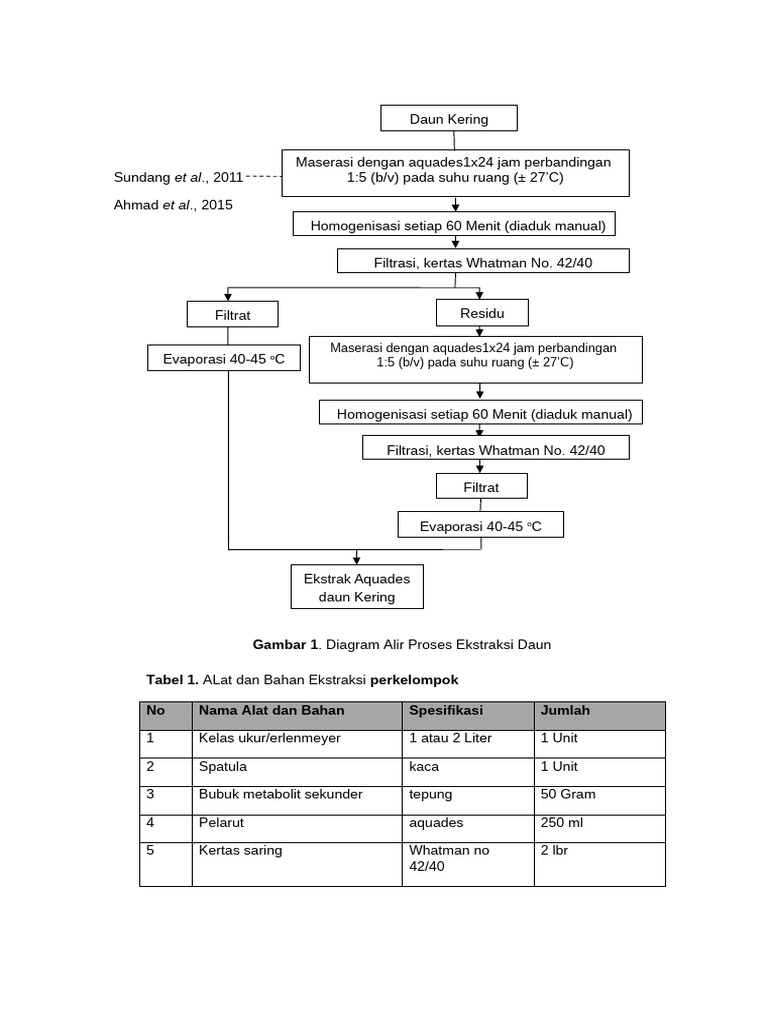 Ekstraksi 2025 | PDF
