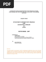 Cashflow Game Financial Statement Guide | PDF | Debits And Credits ...
