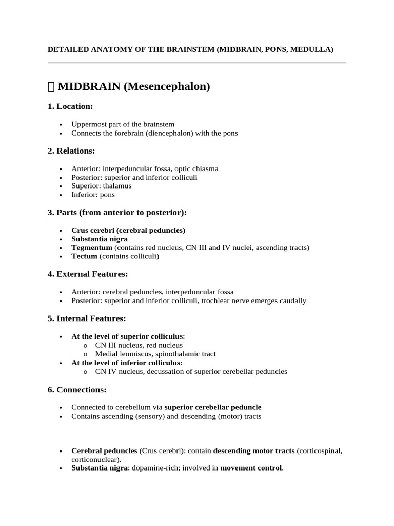 DETAILED ANATOMY OF THE BRAINSTEM | PDF | Brainstem | Neuroanatomy