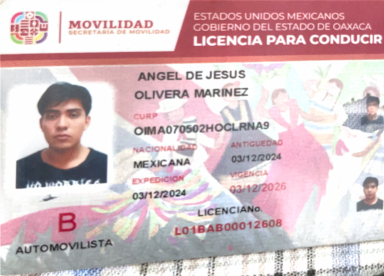 MOVILIDAD | PDF