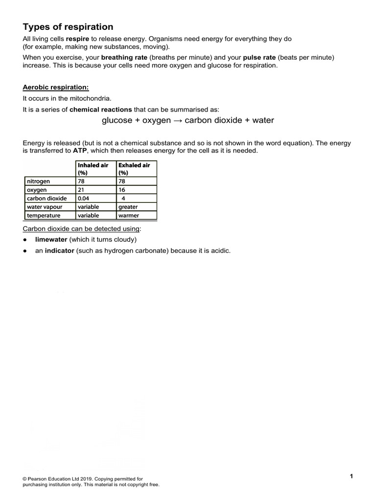 Topic 8C Summary Sheets | PDF | Cellular Respiration | Lung