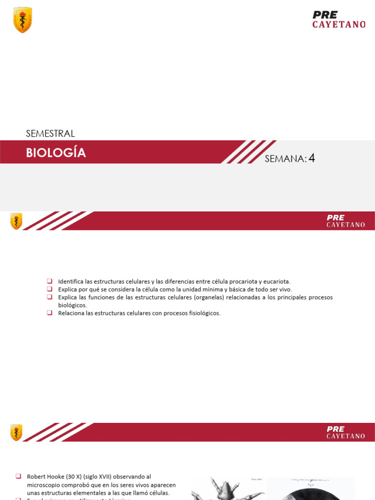 2 Biología Presentación2 Semana4 | PDF | Biología Celular) | Membrana celular