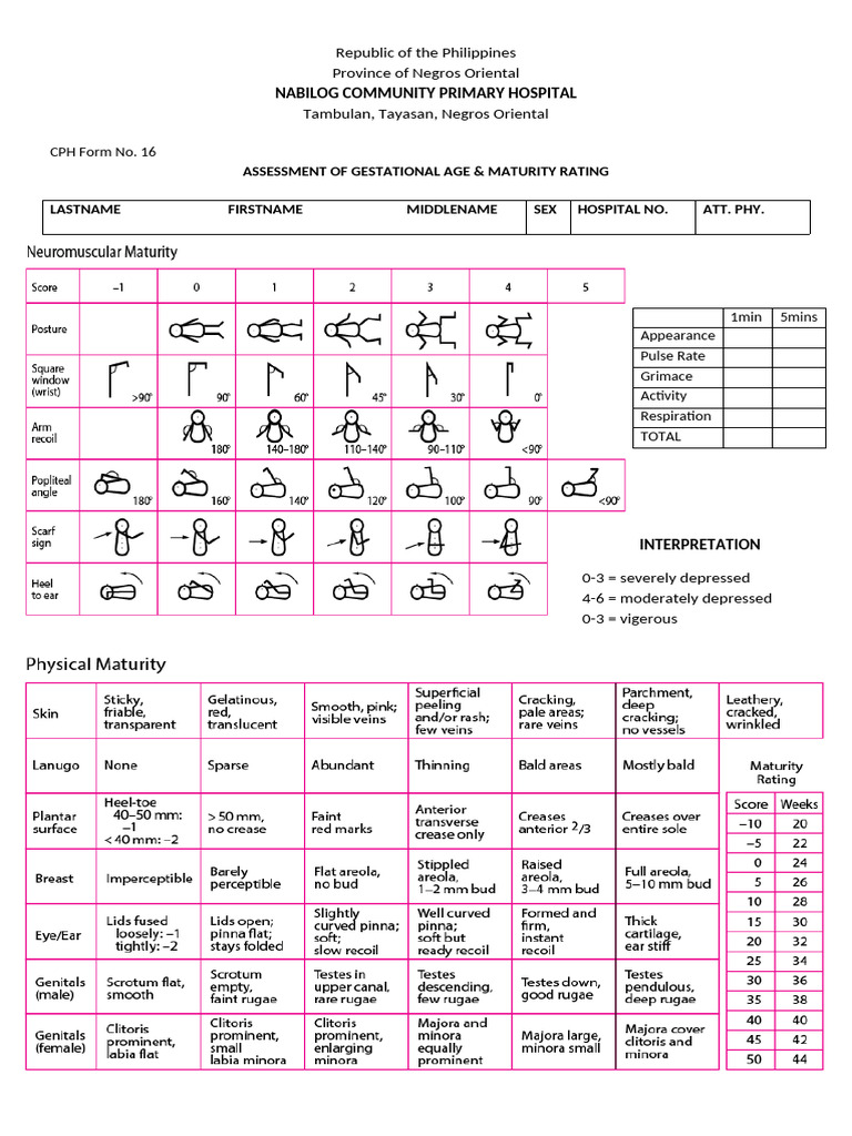 Assessment of Gestational Age & Maturity Rating | PDF