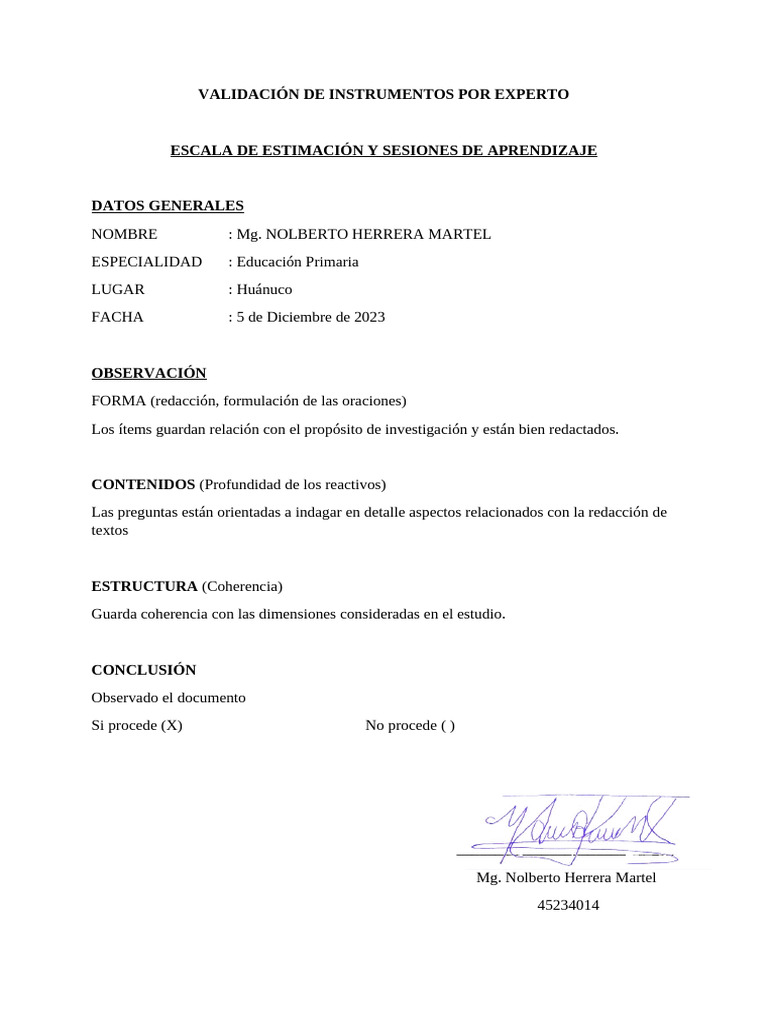 Validación de Instrumentos Por Experto | PDF