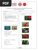 TEDET คณิต 2567 | PDF