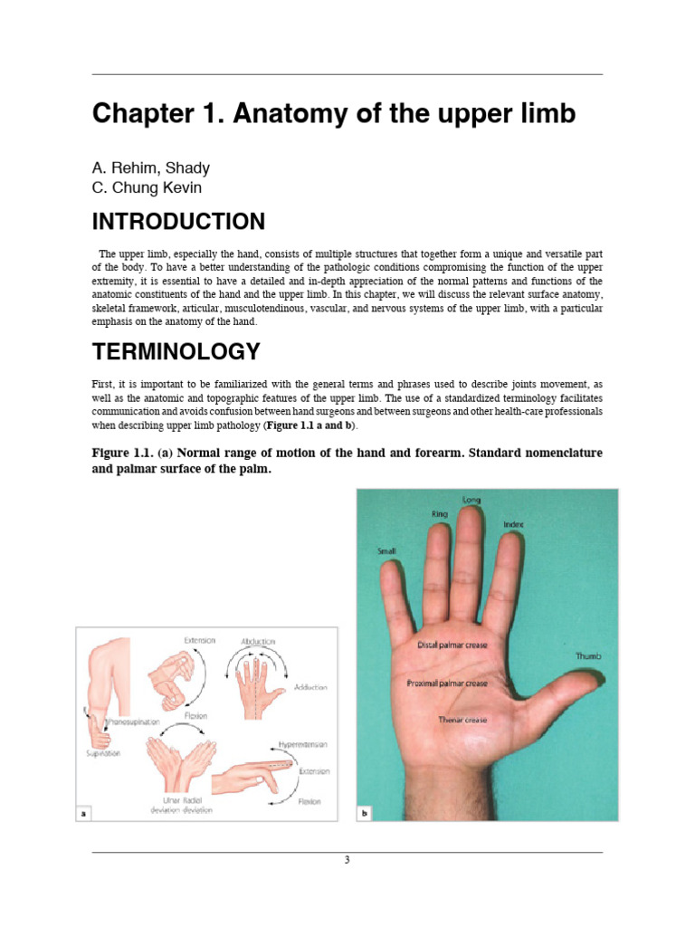 Essentials of Hand Surgery Test | PDF | Hand | Arm