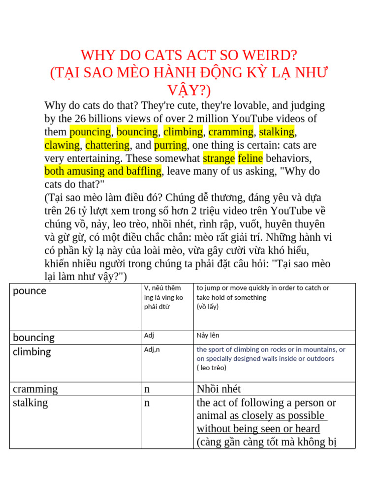 Why Do Cats Act So Weird | PDF