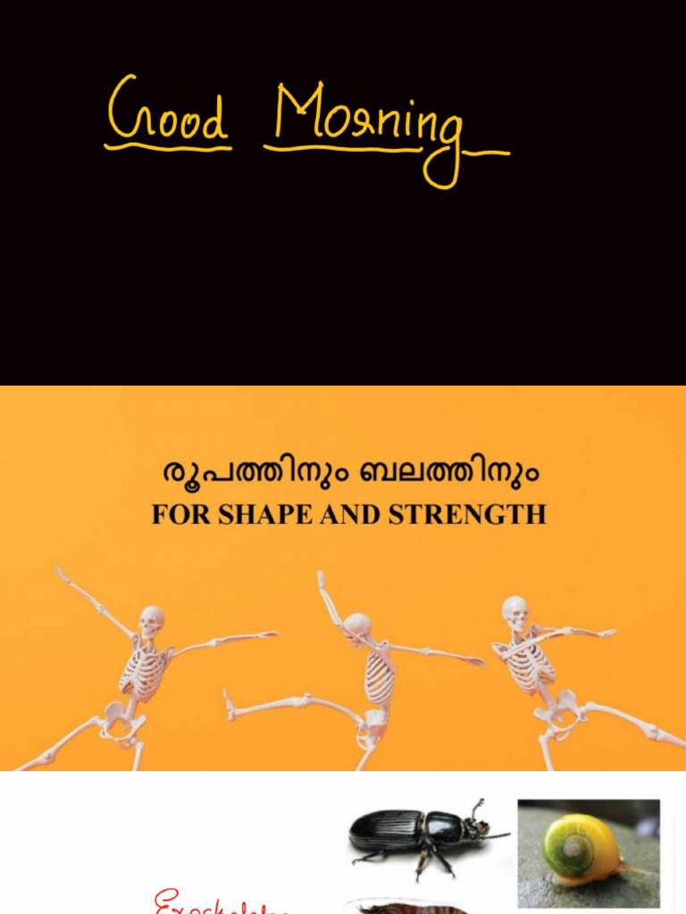 Morning Booster Class 6 Theory Based 2025 - 11zon | PDF