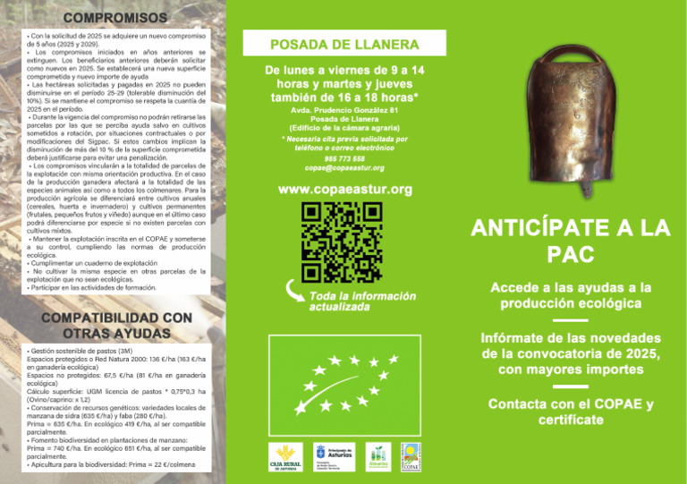 Tríptico PAC 2025 - Portada | PDF