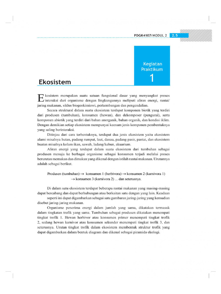 Modul 2 | PDF