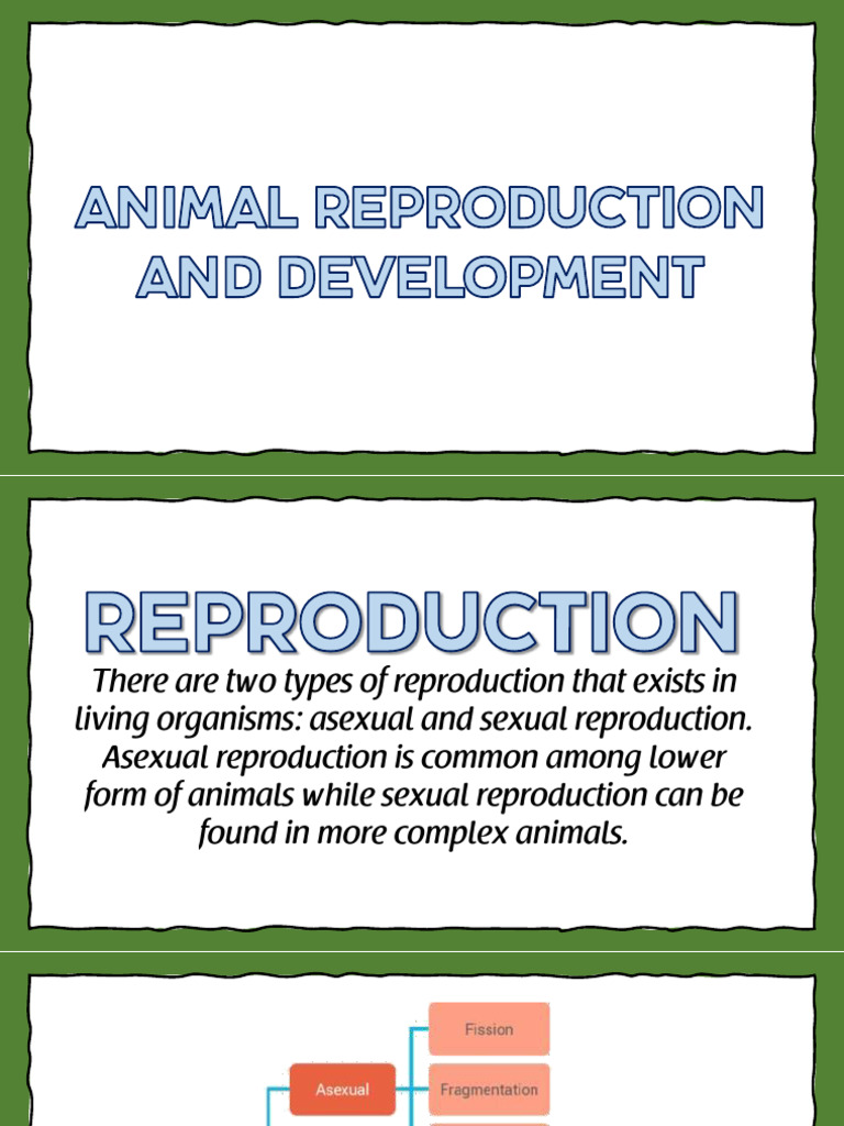 Animal Reproduction and Development | PDF