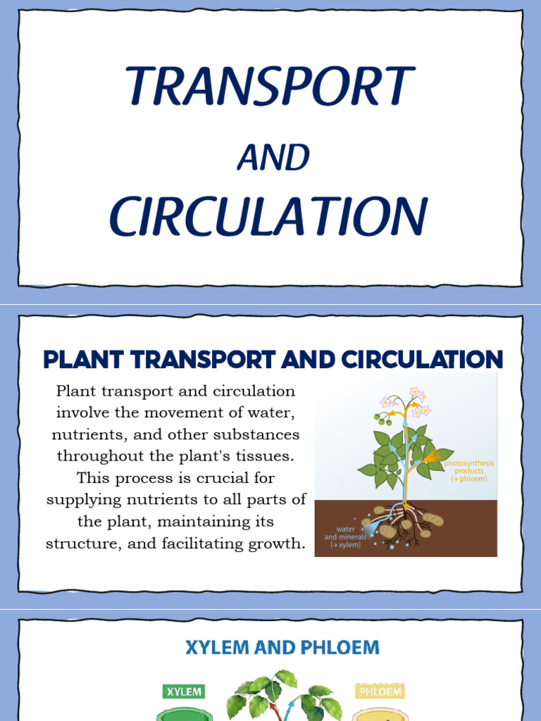 Transport-and-Circulation | PDF | Circulatory System | Blood