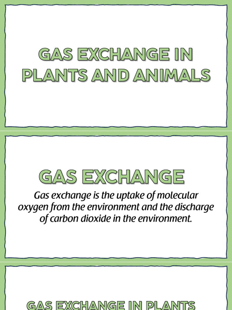 Plants-and-Animal-Gas-Exchange | PDF