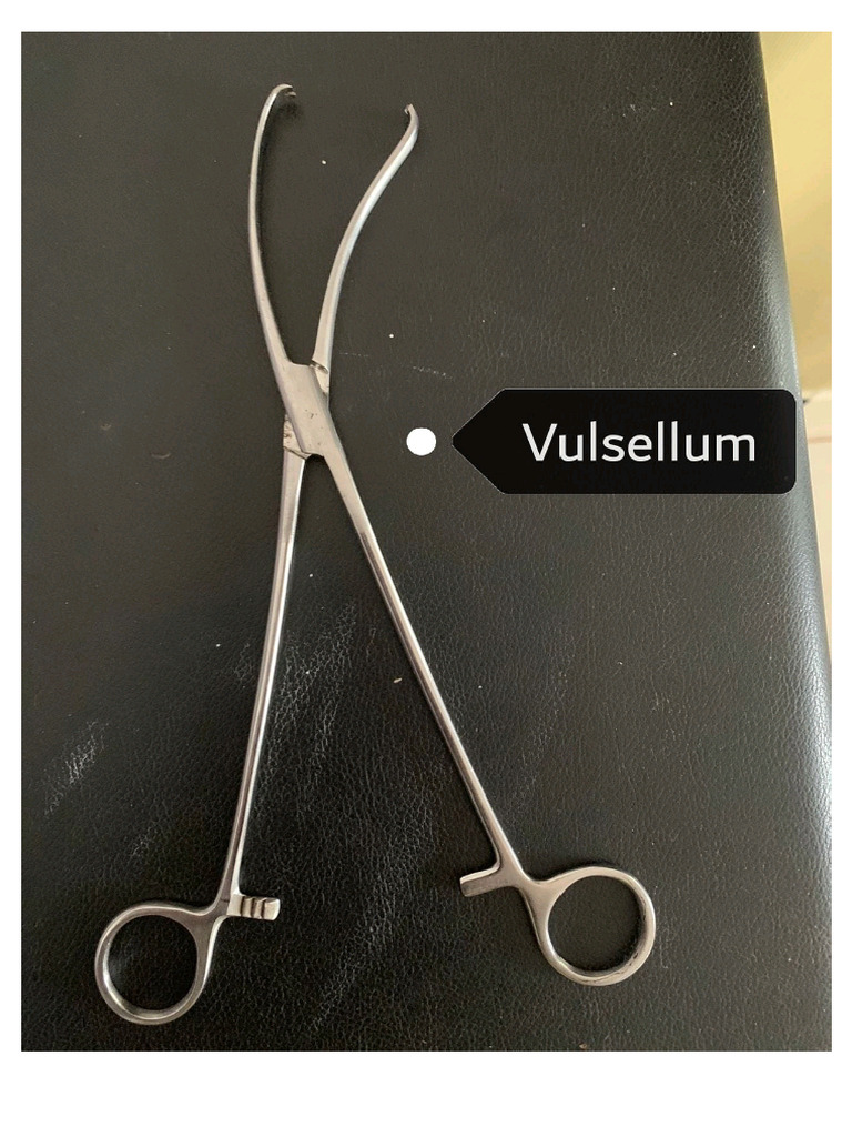 Obg Instruments | PDF