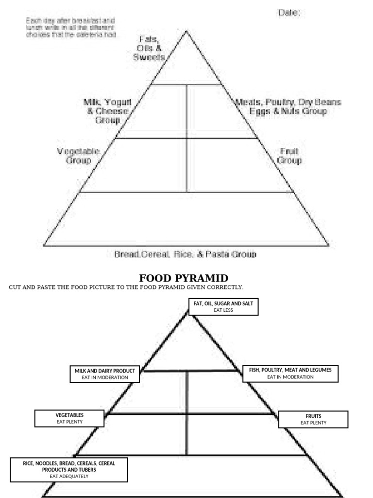 Bi Food Pyramid | PDF