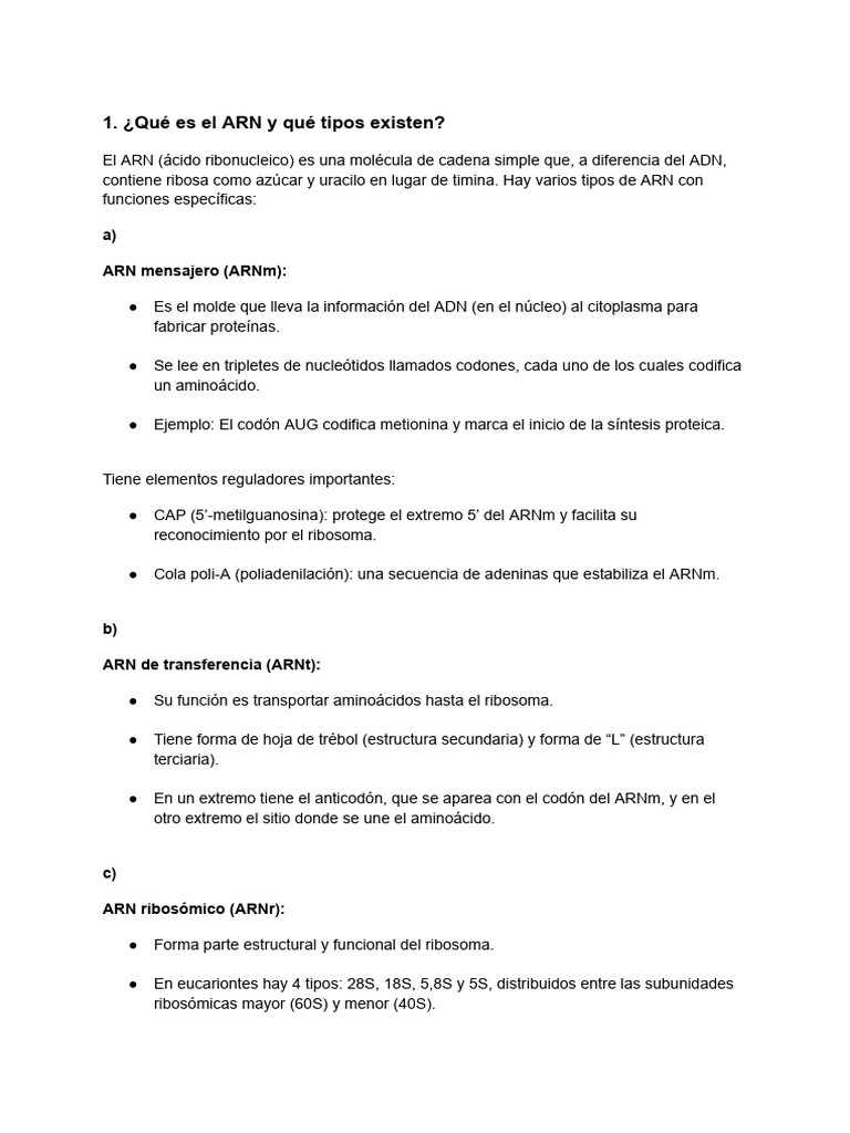 Tipos de ARN y su Función en la Célula | PDF | Rna | Messenger Rna