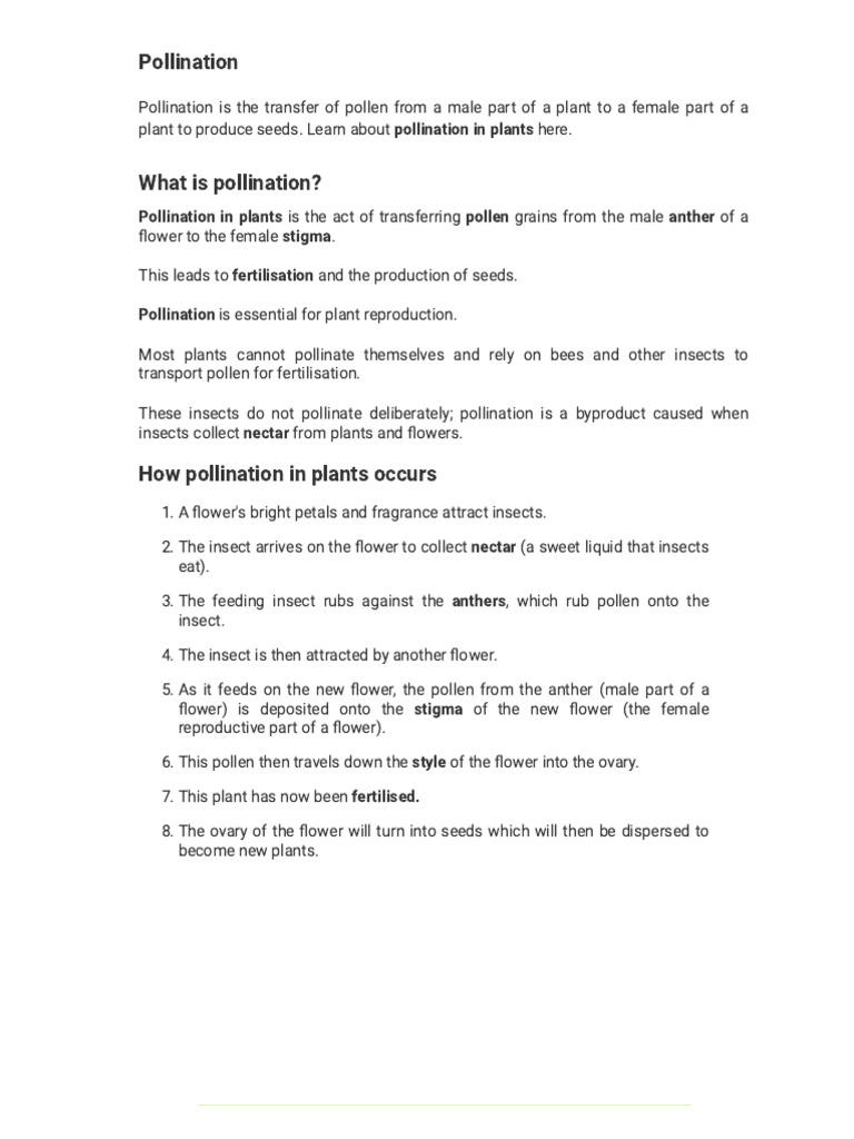 What Is Pollination - Answered - Twinkl Teaching Wiki | PDF