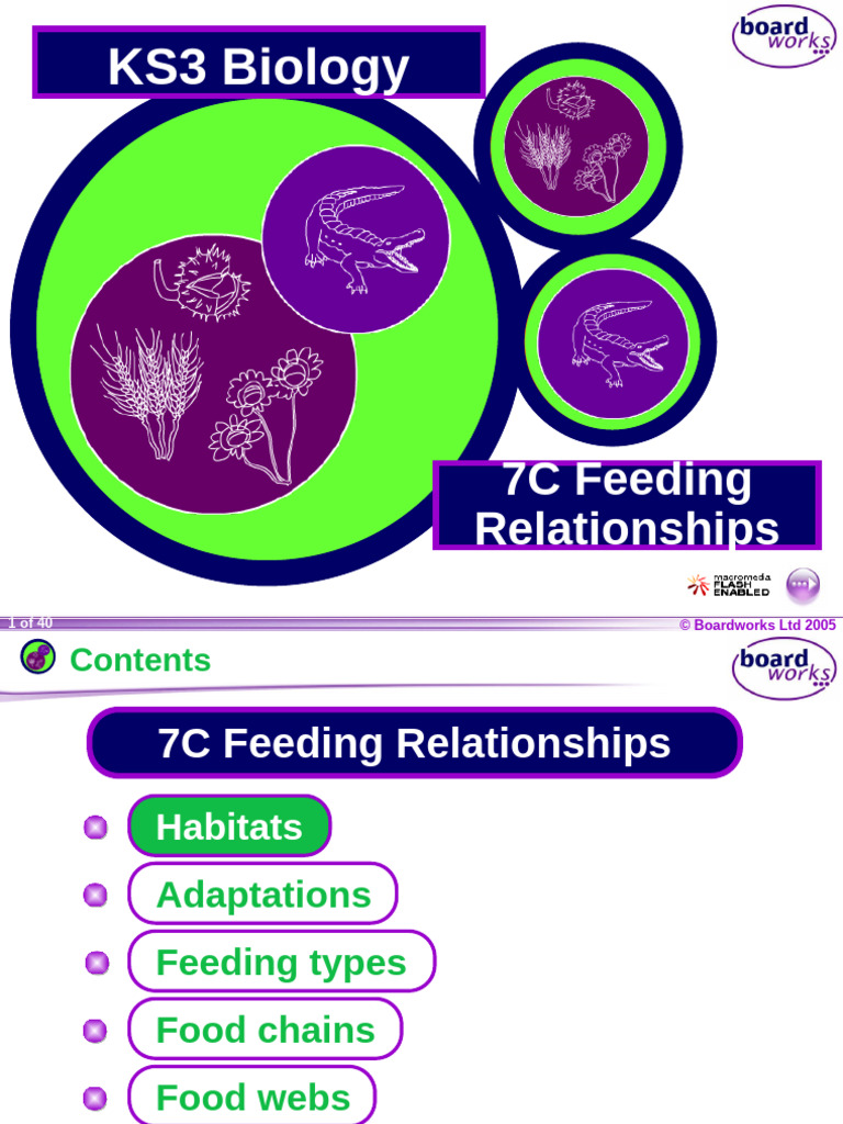 Feeding Relationships in Ecosystems | PDF | Foods | Herbivore