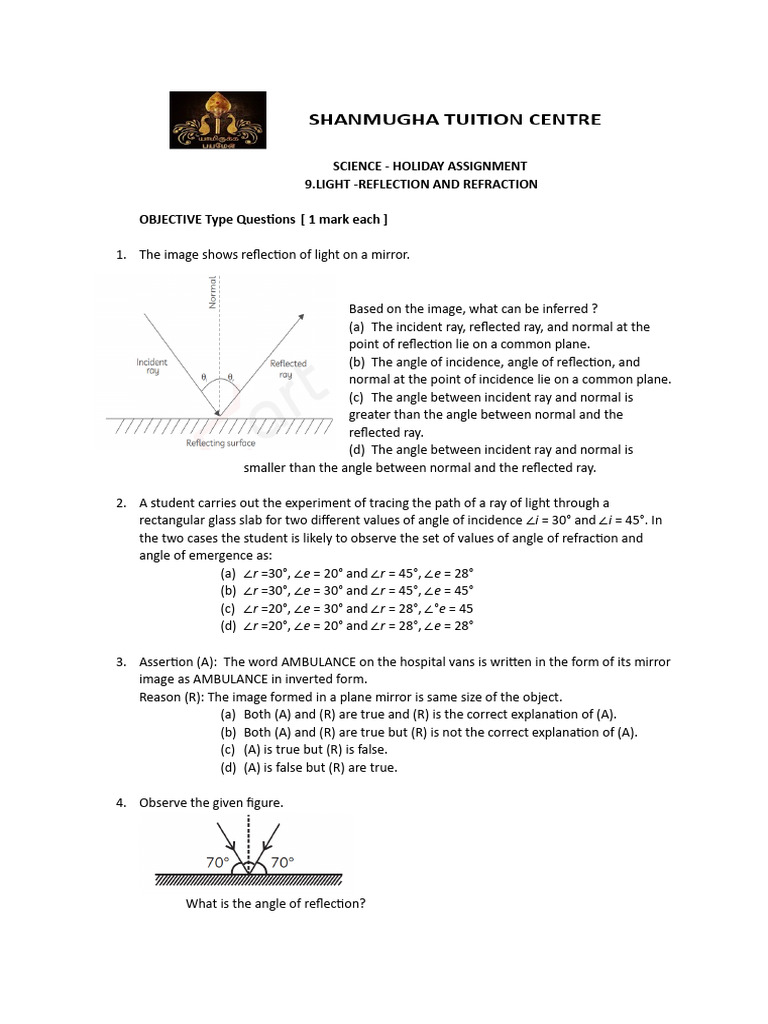Light Holiday Assignment | PDF | Electrodynamics | Atomic