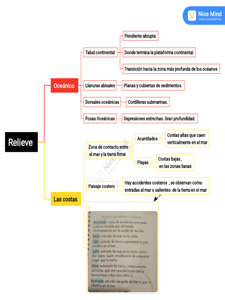 Relieve Oceánico y Las Costas | PDF