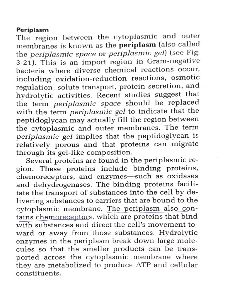 Periplasm by Atlas | PDF