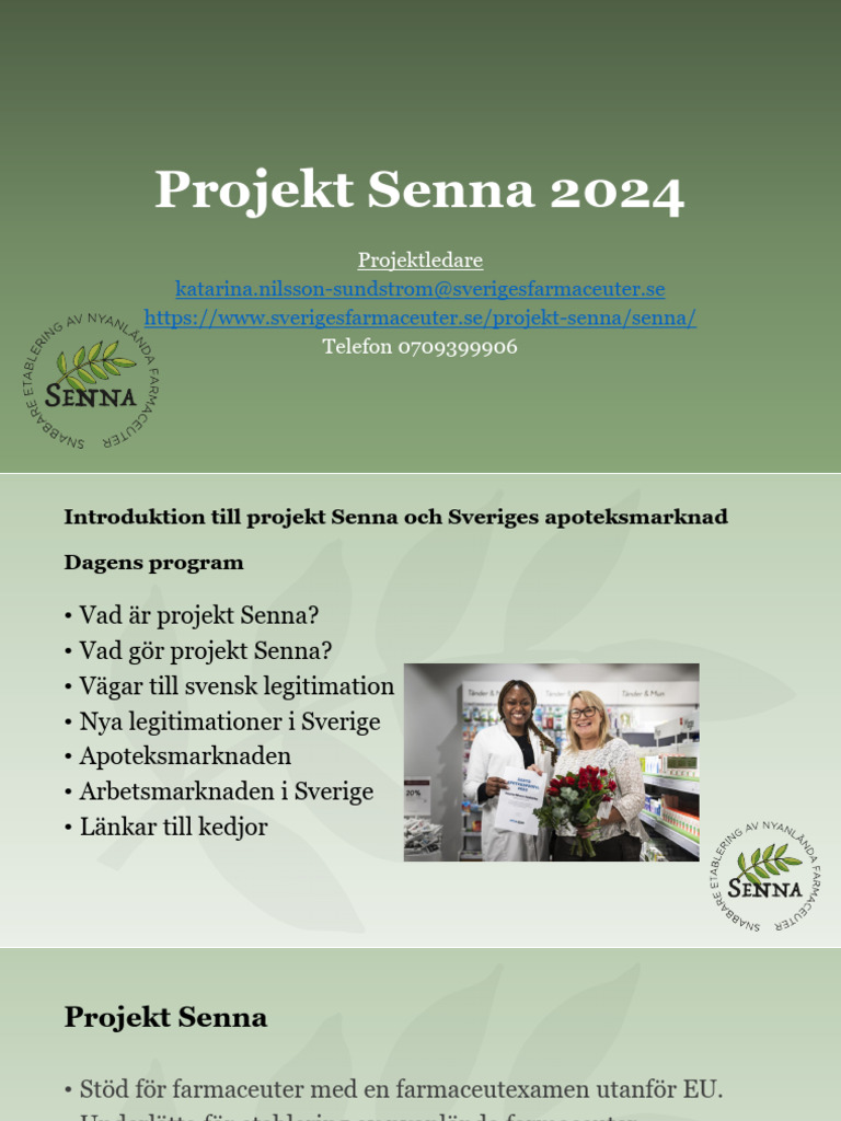 Projekt Senna 2024 | PDF