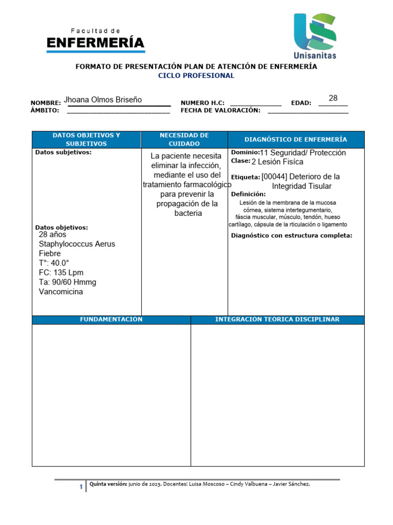 Formato PAE Ciclo Profesional (1) (2) (1) LIS ZULY | PDF | Herida | Septicemia
