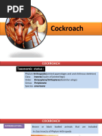 Cockroach Dissection | PDF | Wellness