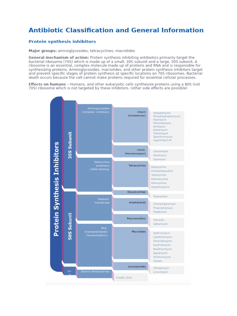 Antibiotics Classification | PDF | Biosynthesis | Enzyme Inhibitor