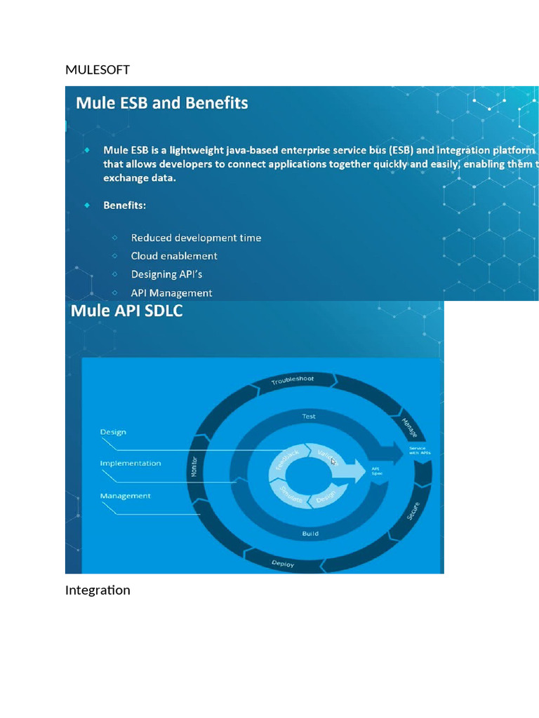 MULESOFT | PDF