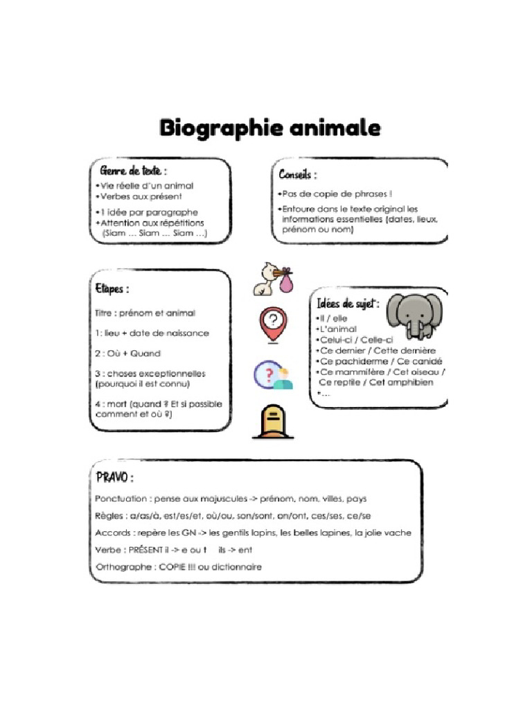 Bio Animale Mindmap | PDF