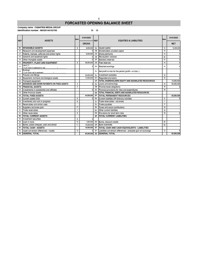 Forcasted Opening Balance Sheet FMG | PDF | Balance Sheet | Banks