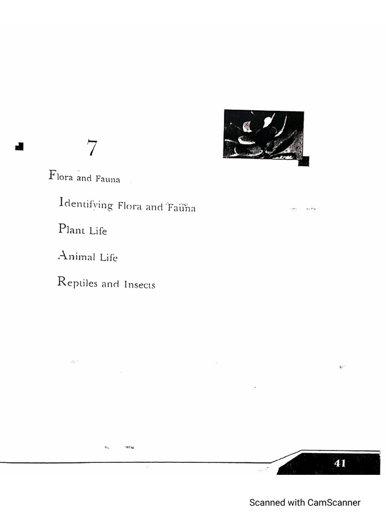 SAC Grade 12 Ch1 | PDF
