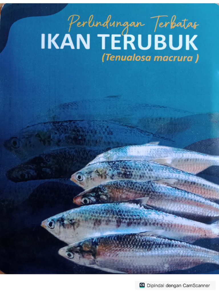 Leaflet Terubuk | PDF