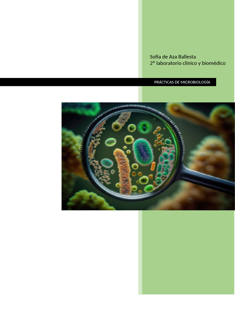 Practicas Micro | PDF | Las bacterias | Microbiología