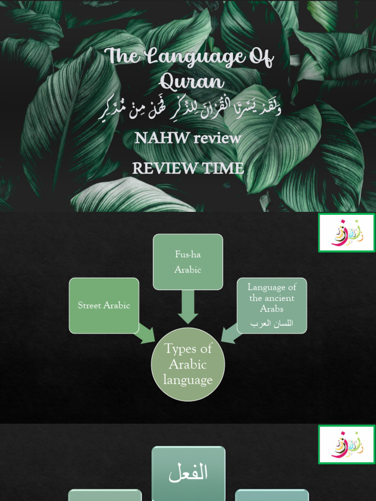 Nahw Review 1 Final Document 1 | PDF | Grammatical Gender | Plural