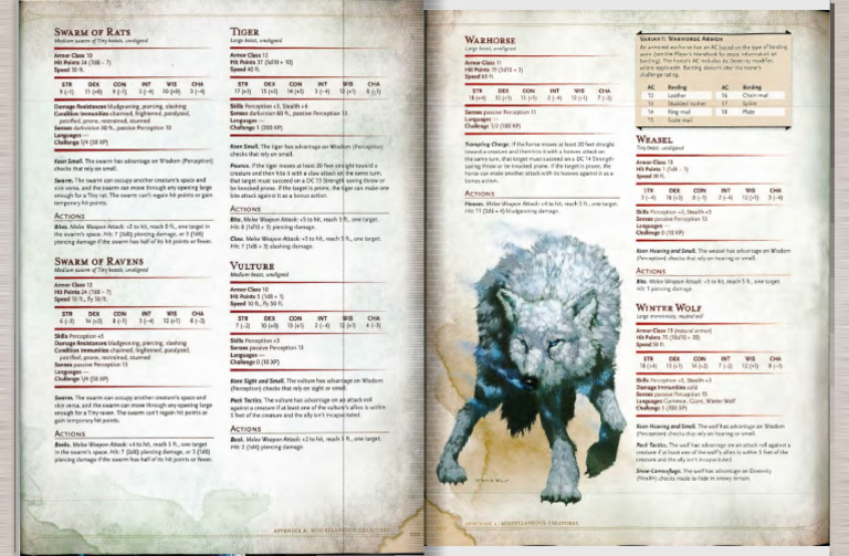 D&D 5e Monster Manual 17 ' | PDF