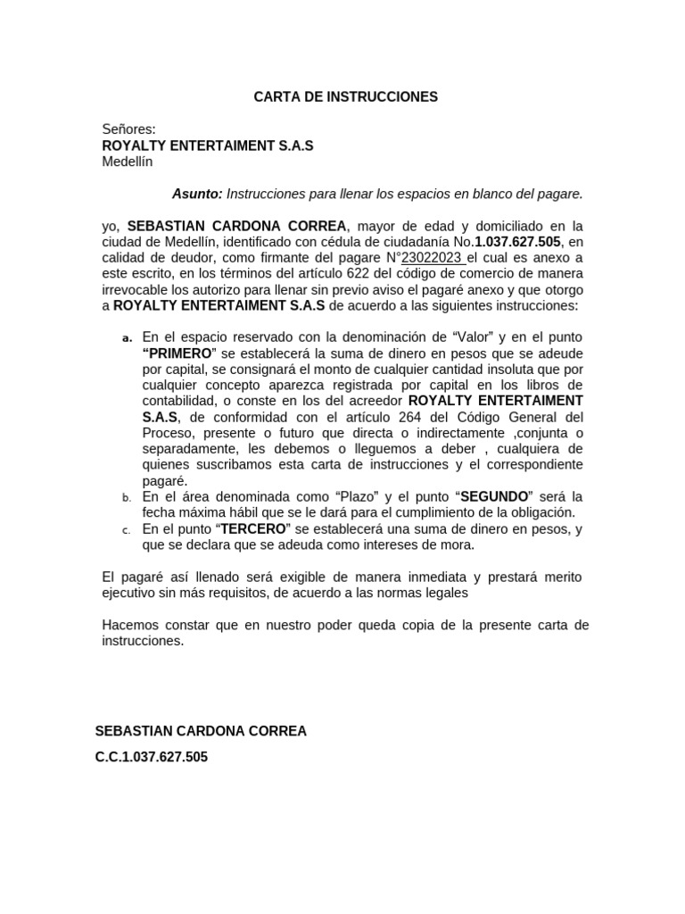 Carta de Instrucciones-Sebastian | PDF