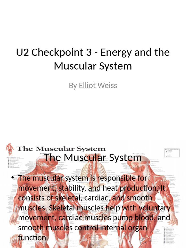 U2 Checkpoint 3 Elliot Weiss | PDF