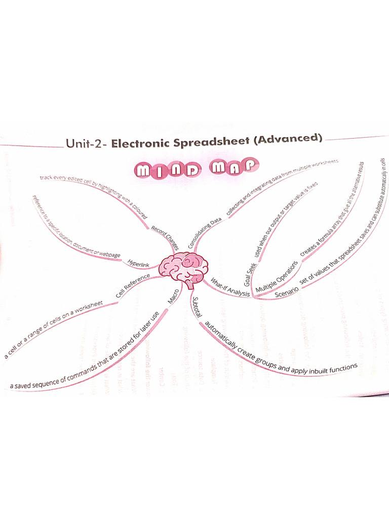 Grade 10.unit 2 Electronic Spreadsheet | PDF