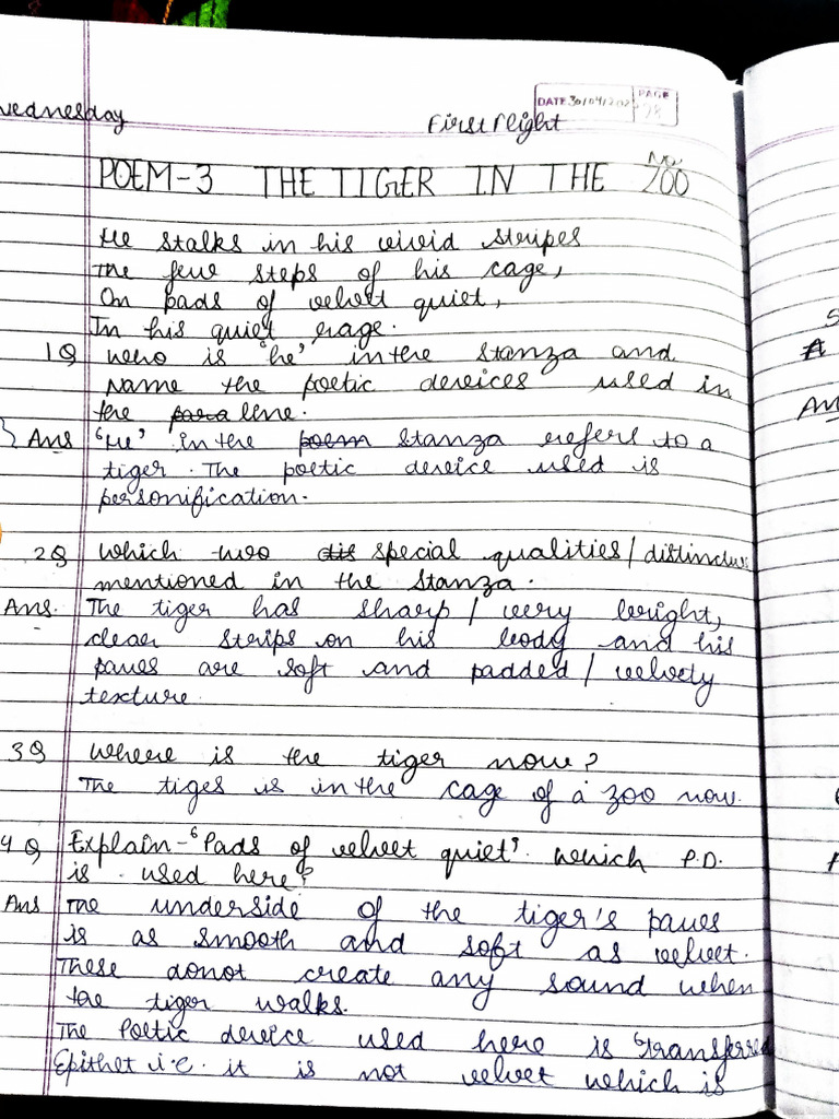 The Tiger in The Zoo Question Answer | PDF