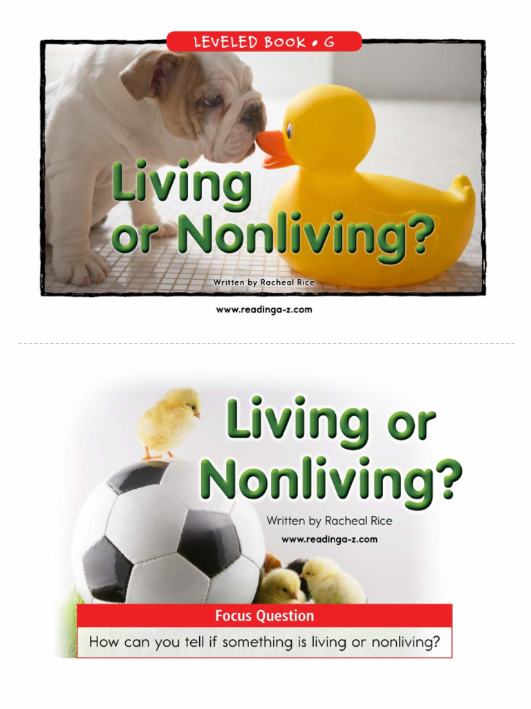Living Or Nonliving | PDF