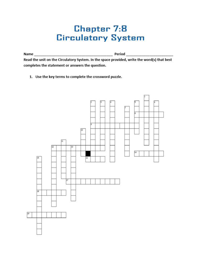 PHS Ch7-8 Circulatory System WS | PDF | Heart | Blood Vessel