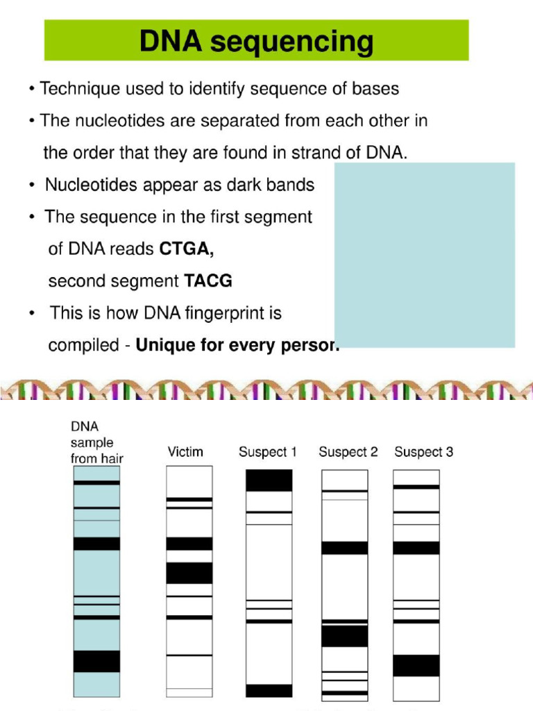 DNA Sequencing.. | PDF