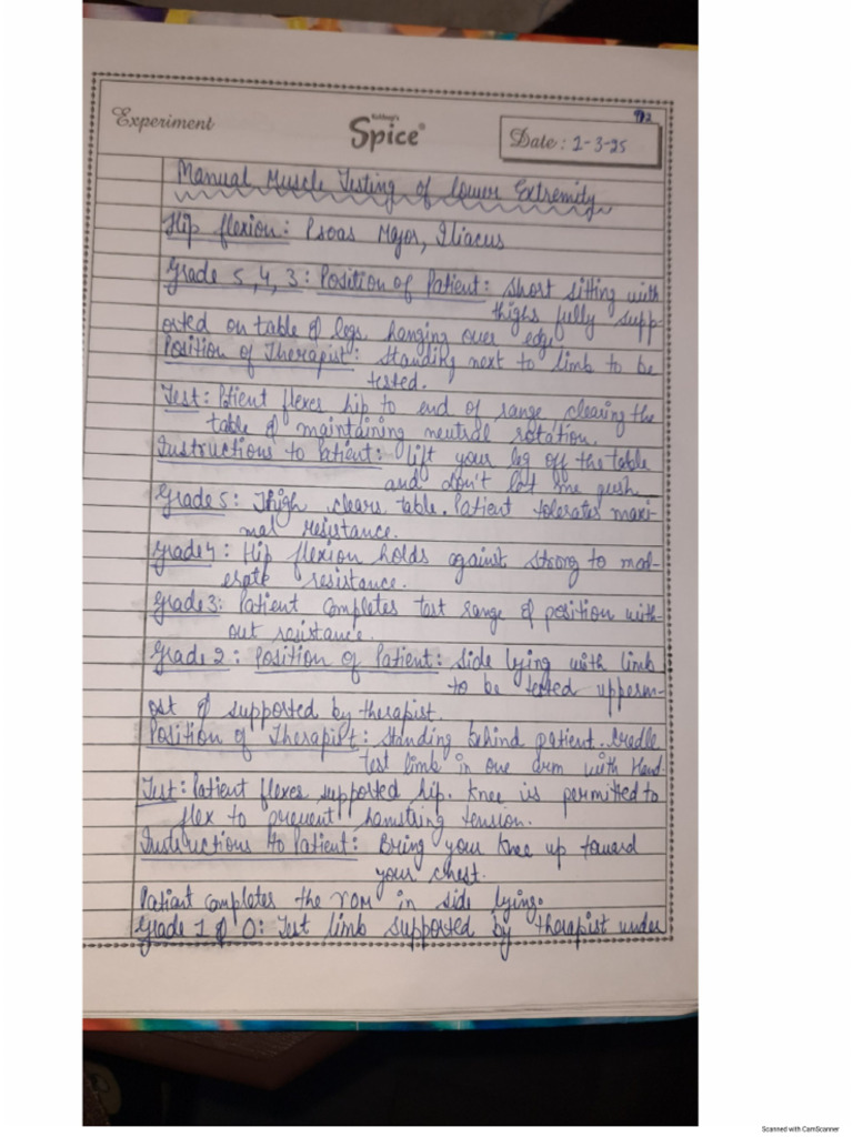 MMT Lower Extremity and Trunk | PDF