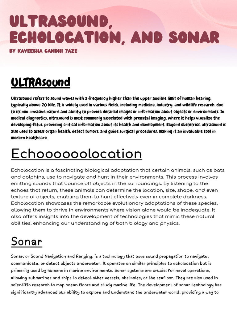 Ultrasound | PDF